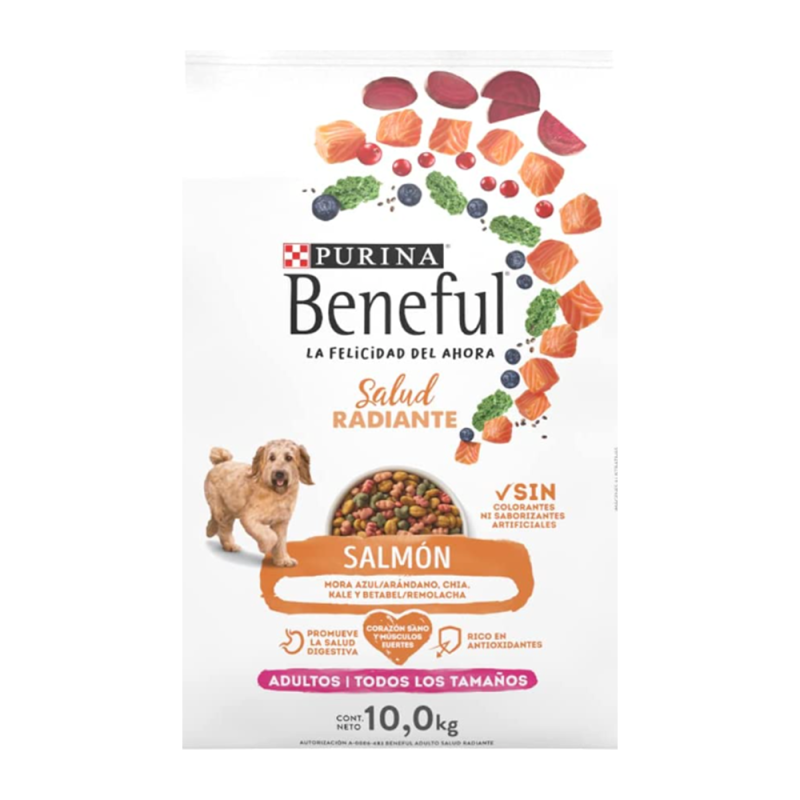 Beneful, Mini Salmón, perros adultos de todos los tamaños. – Krokas